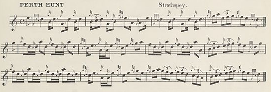 Perth Hunt